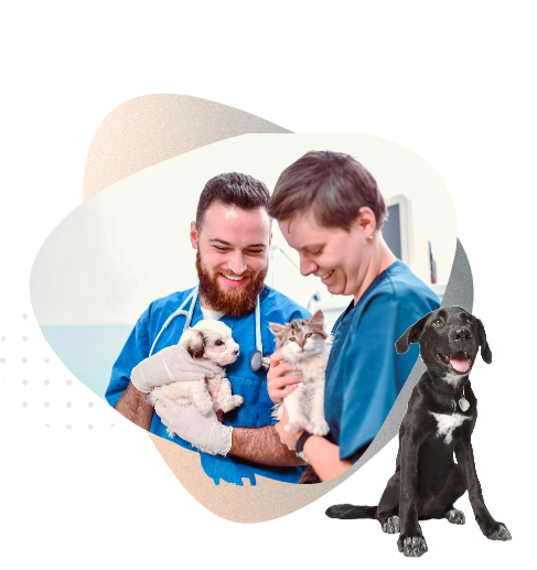 Full Service Veterinary Clinic - Humane Society of Greater Niagara
