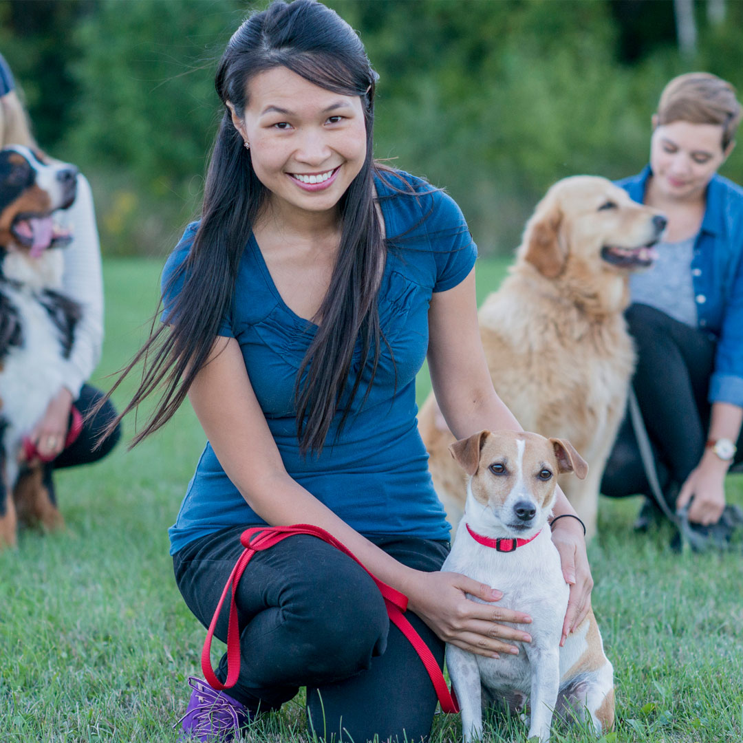 Unleashing the Fun: Navigating Dog Parks in Niagara with Your Furry Friend